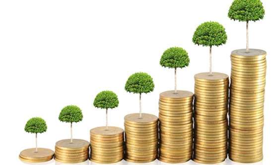 green-and-coin - SustainCase - Sustainability Magazine