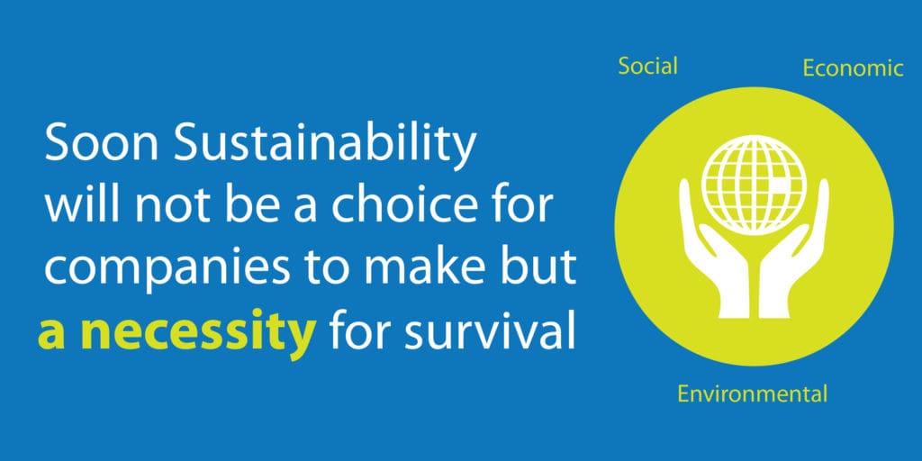 The sustainability challenge: How is the transition to sustainability ...