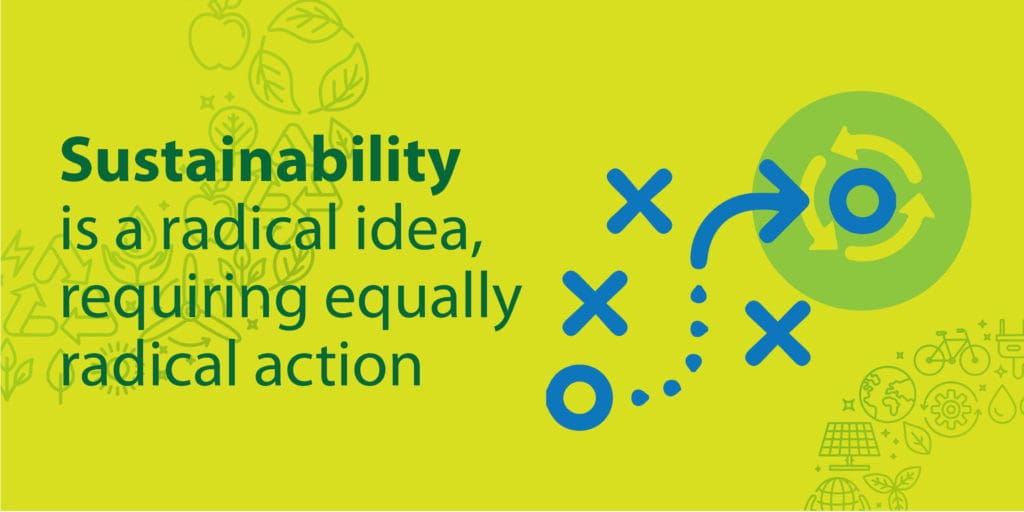 The sustainability challenge: What is sustainability really about ...