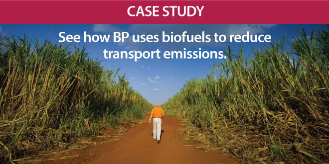 Case study: How BP is expanding its renewables business - SustainCase ...