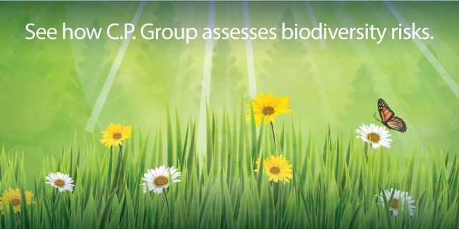 Case study: How C.P. Group protects biodiversity - SustainCase ...