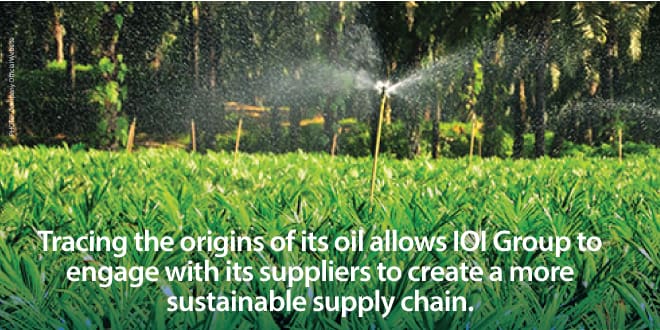 Case study: How IOI Group improves traceability and transparency across ...