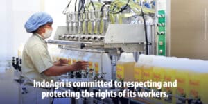 Case study: How IndoAgri protects employees’ human rights - SustainCase ...