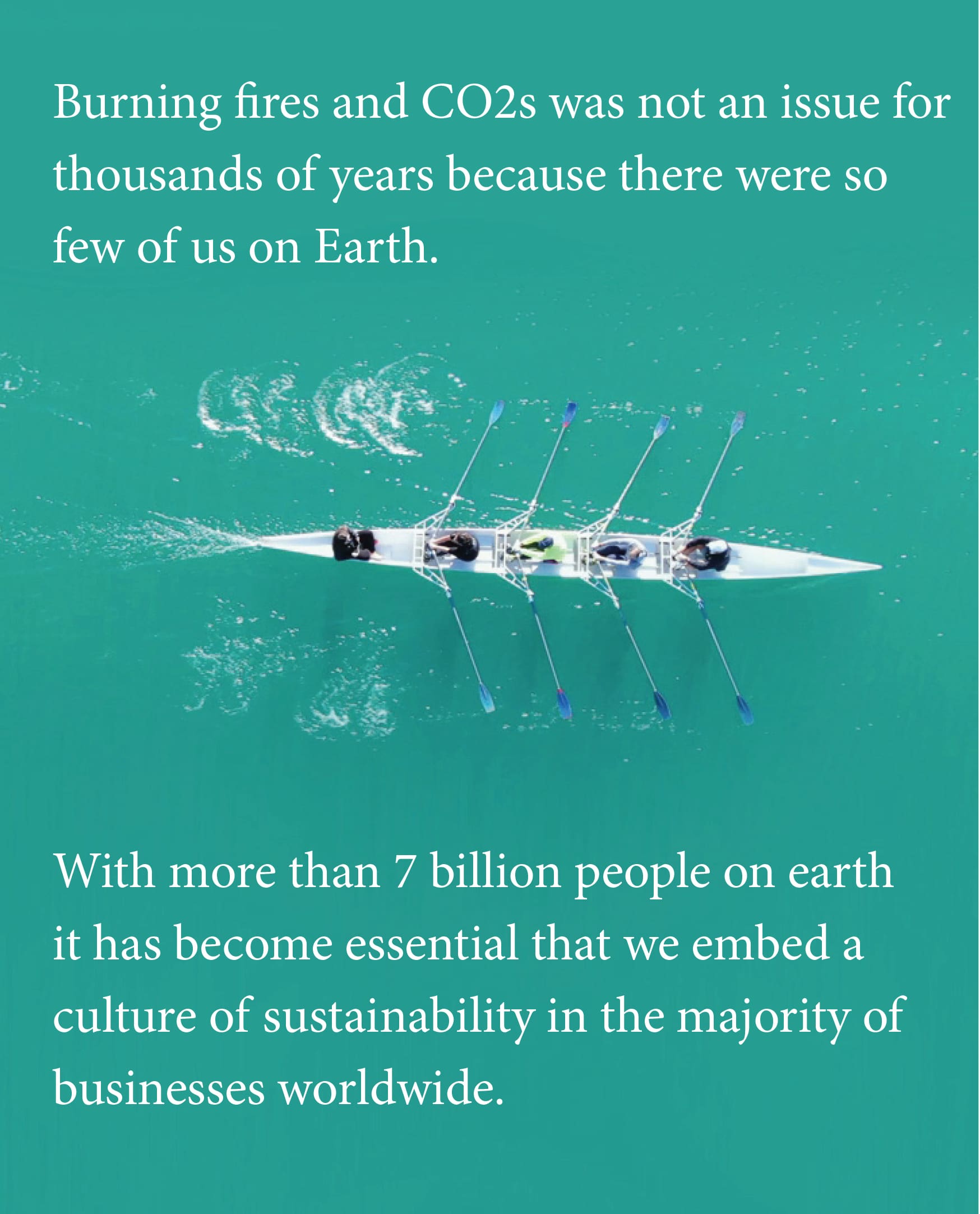 A culture of sustainability or do we aim to solve one problem at a time ...
