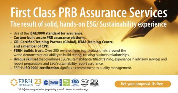 How are Banks implementing the UN Principles for Responsible Banking ...