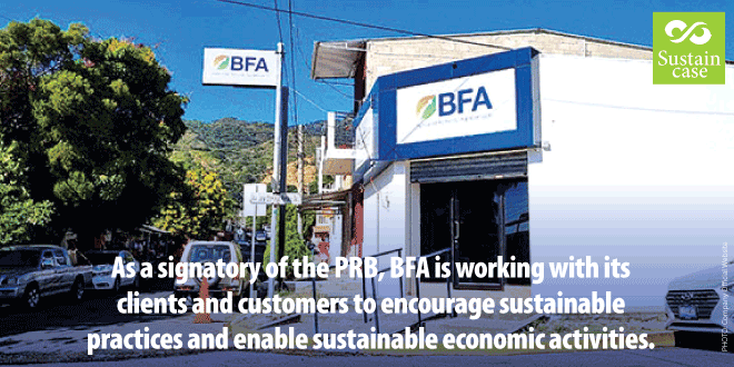 Case study: How BFA works with its clients and customers to encourage ...